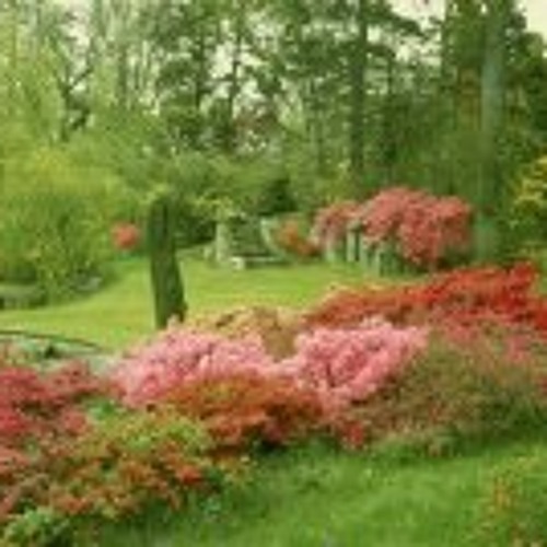 Stream Gina Mohamed 1 music | Listen to songs, albums, playlists for ...