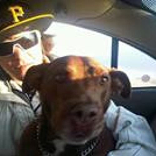 Stream Matthew Didyk music | Listen to songs, albums, playlists for ...