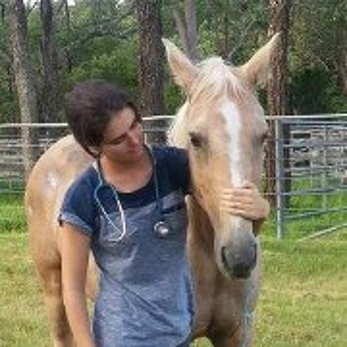 Stream Emma Daley 1 music | Listen to songs, albums, playlists for free ...