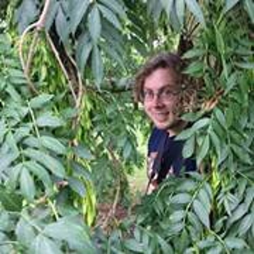 Stream Michael Reeve 2 music | Listen to songs, albums, playlists for ...