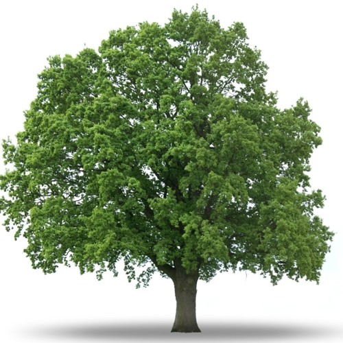 Stream Michiaki Yamaguchi music | Listen to songs, albums, playlists ...