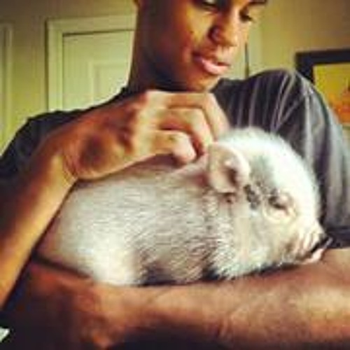 Stream Corey Beer music | Listen to songs, albums, playlists for free ...