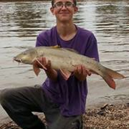 Stream Josh Gear music | Listen to songs, albums, playlists for free on ...