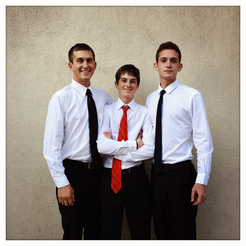 Stream Matthew Powell-Palm music | Listen to songs, albums, playlists ...