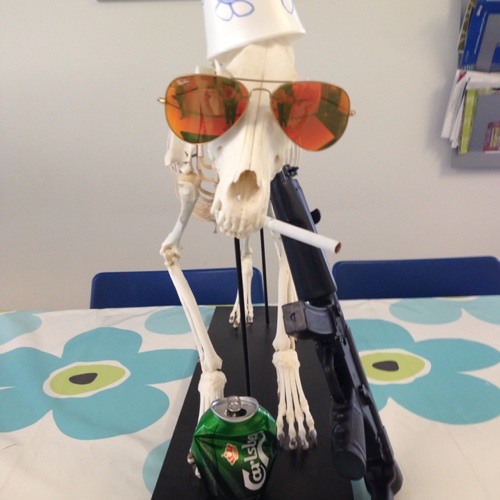 Stream Amber Quick 1 music | Listen to songs, albums, playlists for ...