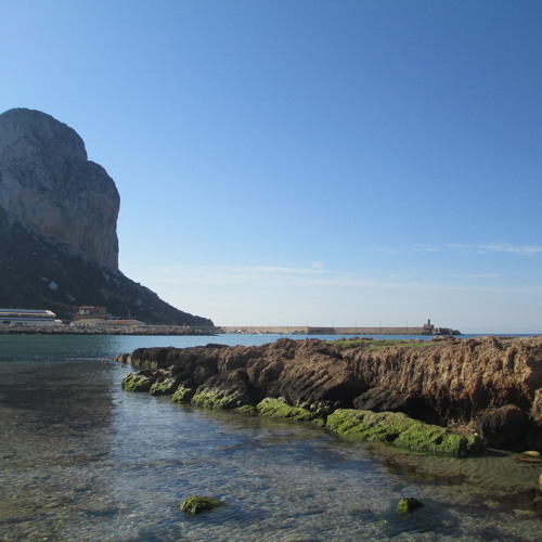 Stream Don T Give Up Live Mp3 By User794579953 Listen Online For