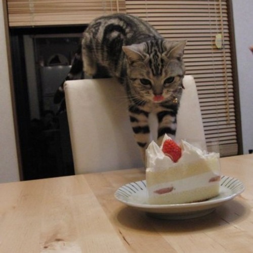 Stream mnmnmm music | Listen to songs, albums, playlists for free on ...