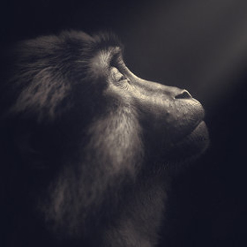 Stream Kevin Simpson music | Listen to songs, albums, playlists for ...