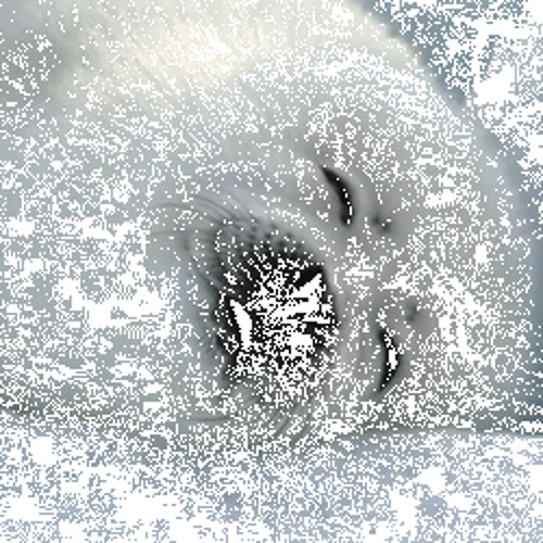 Stream Destin Anderson music | Listen to songs, albums, playlists for ...