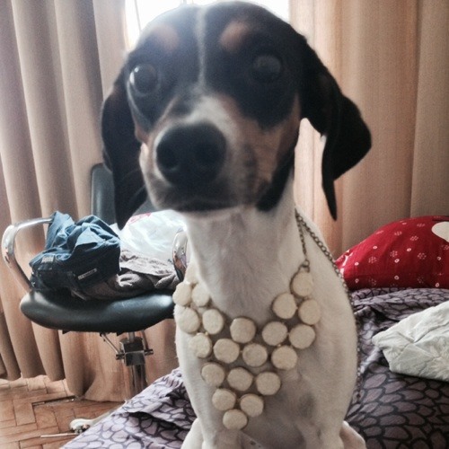 Stream Izadora Lima music | Listen to songs, albums, playlists for free ...