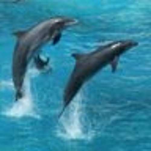 Stream Jessica Aberg music | Listen to songs, albums, playlists for ...