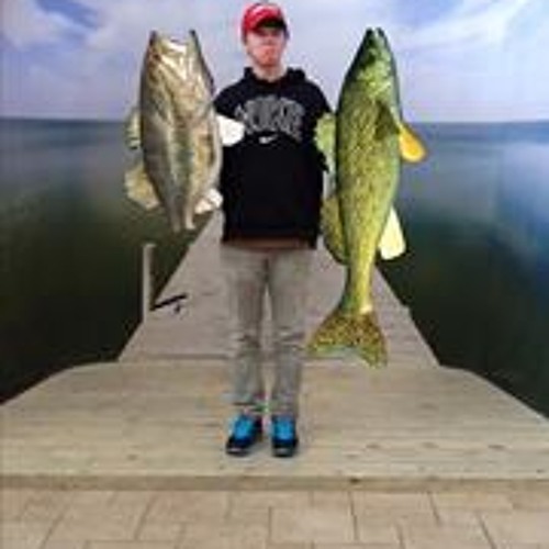 Stream King Dork music | Listen to songs, albums, playlists for free on ...