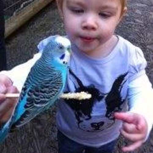 Stream Summer Newton music | Listen to songs, albums, playlists for ...