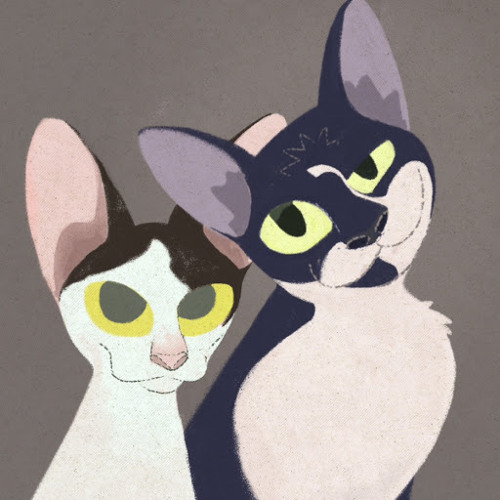 Stream Renee Rose-Perry music | Listen to songs, albums, playlists for ...