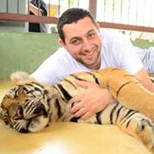 Stream Felix Arena music | Listen to songs, albums, playlists for free ...