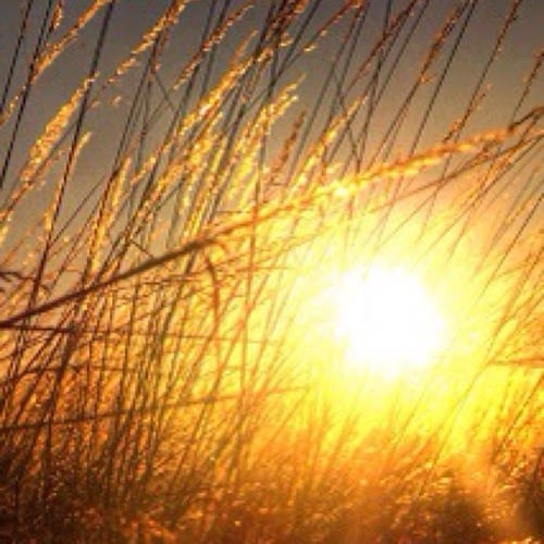 Stream MKIJ music | Listen to songs, albums, playlists for free on ...