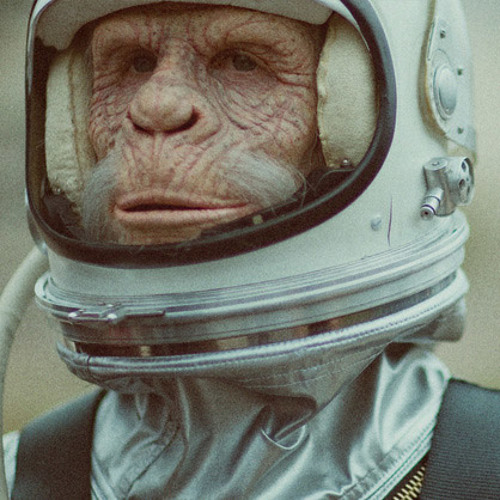 Stream Marie Poppers music | Listen to songs, albums, playlists for ...