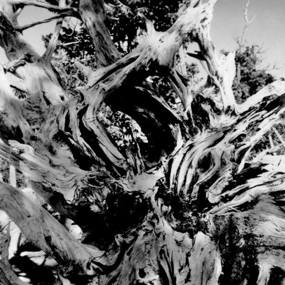 Stream Dirty George - Rake (VanZandt cover) by Wooden Minds | Listen ...