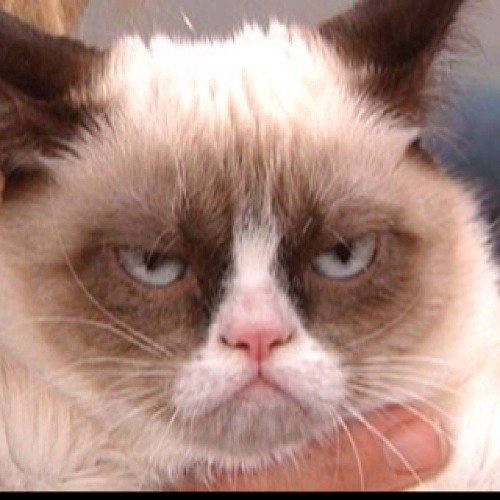 Stream Evan Forst music | Listen to songs, albums, playlists for free ...