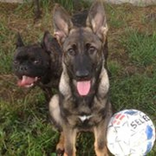 Stream Stefan Jensen seb music | Listen to songs, albums, playlists for ...