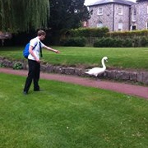 Stream George Heard music | Listen to songs, albums, playlists for free ...