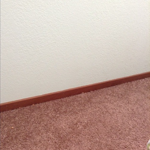 Stream riley_treadwell | Listen to Lana del Rey playlist online for ...