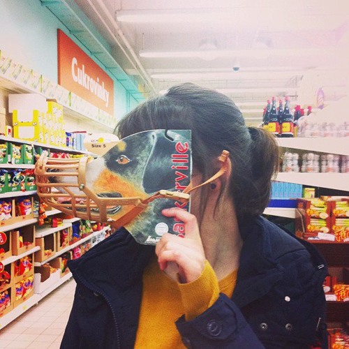 Stream vizita.pisk music | Listen to songs, albums, playlists for free ...