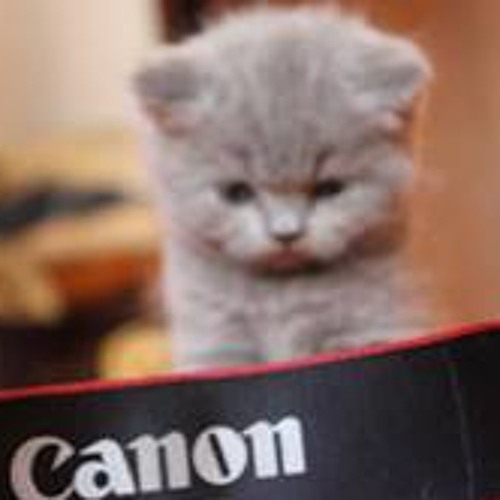 Stream Aws Samara 1 music | Listen to songs, albums, playlists for free ...