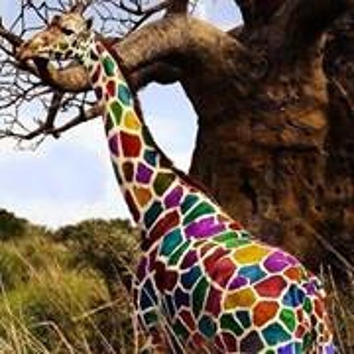 Stream Amber D. Sykes music | Listen to songs, albums, playlists for ...