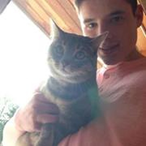 Stream Nolan Reeves music | Listen to songs, albums, playlists for free ...