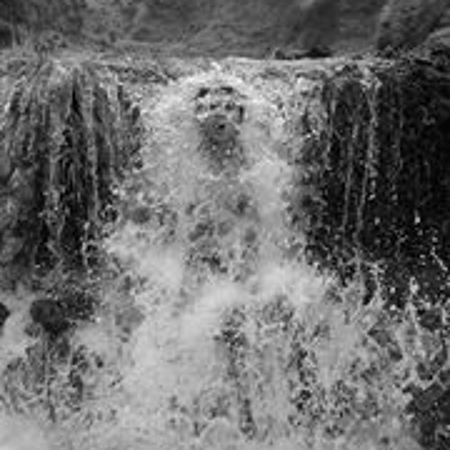 Stream Pak Chan Kibo music | Listen to songs, albums, playlists for ...