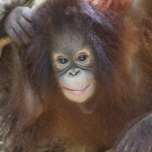 Stream derek staton music | Listen to songs, albums, playlists for free ...