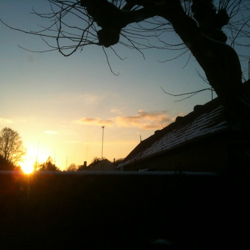 Stream Felix Country by Untitled Flowers | Listen online for free on ...