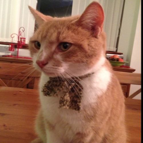 Stream Charles Mann music | Listen to songs, albums, playlists for free ...