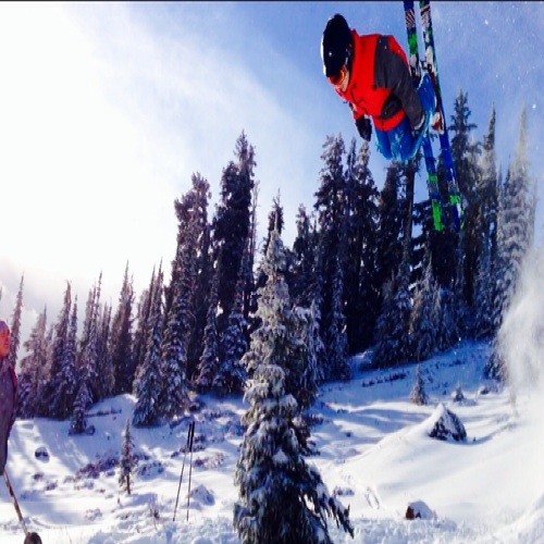 Stream logg_dogg music | Listen to songs, albums, playlists for free on ...