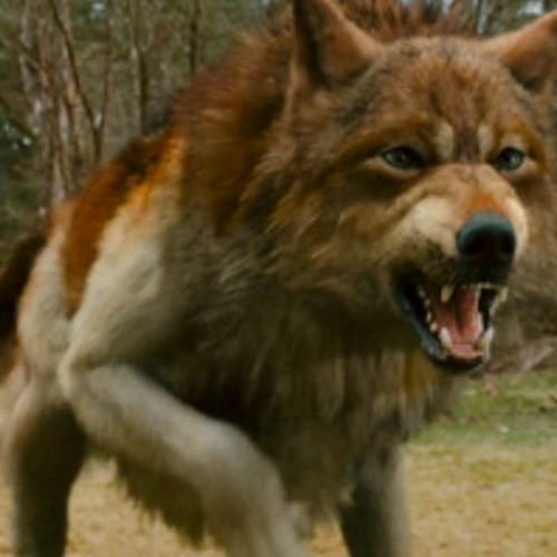 Stream werewolf girl | Listen to monster high theme song playlist ...