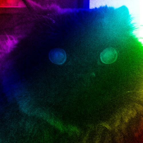 Stream Merlin The Magic Cat music | Listen to songs, albums, playlists ...