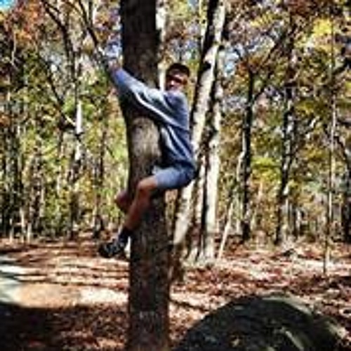 Stream Andrew Gann 1 music | Listen to songs, albums, playlists for ...