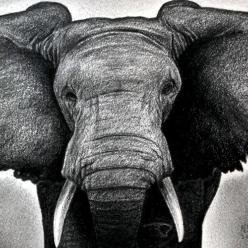 Stream DJ Elephunk music | Listen to songs, albums, playlists for free ...