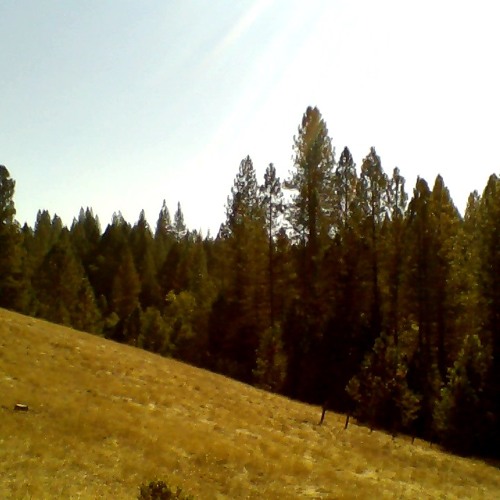 Stream Tyler Brady music | Listen to songs, albums, playlists for free ...