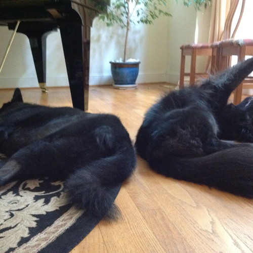 Stream Tom Yoder music | Listen to songs, albums, playlists for free on ...