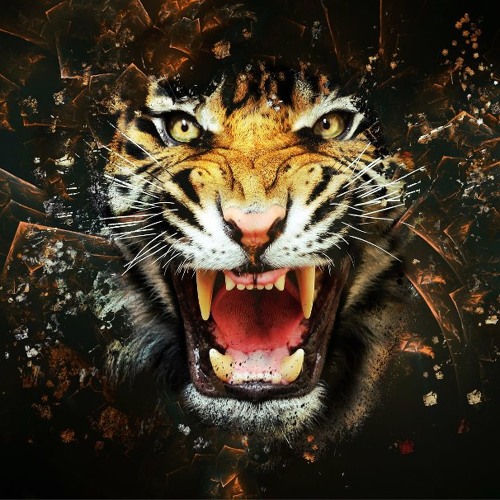 Stream Pauline Auguste music | Listen to songs, albums, playlists for ...