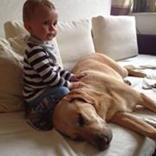 Stream Julia Reger 2 music | Listen to songs, albums, playlists for ...