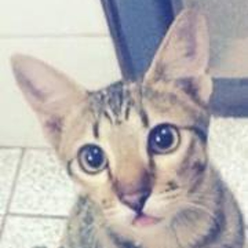 Stream Rawin Win Win music | Listen to songs, albums, playlists for free on SoundCloud