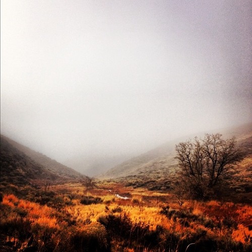 Stream Mason Osgood music | Listen to songs, albums, playlists for free ...