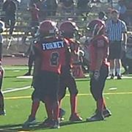 Stream ErIc Forney Jr. music | Listen to songs, albums, playlists for ...