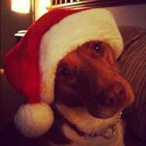 Stream Bonnie Rowland-Scott music | Listen to songs, albums, playlists ...