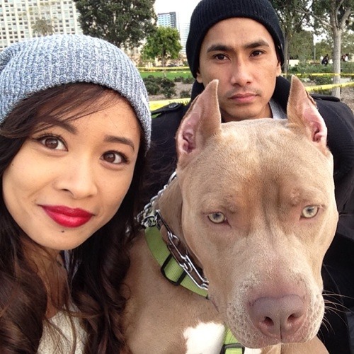 Stream April JC music | Listen to songs, albums, playlists for free on ...