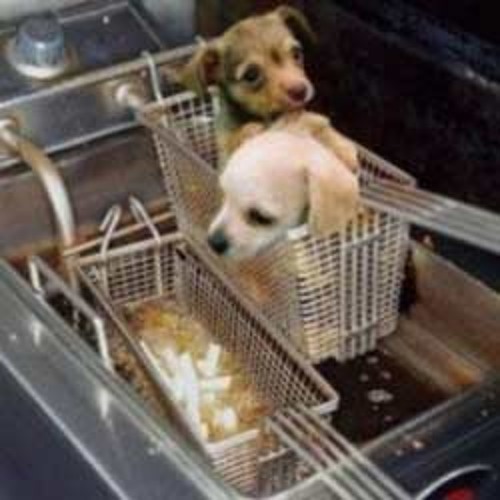 Stream Imposters by Deep Fried Puppies | Listen online for free on ...