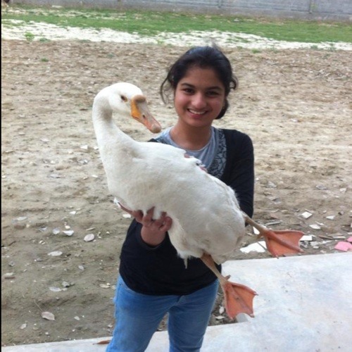 Stream Malaika Ali 1 music | Listen to songs, albums, playlists for ...